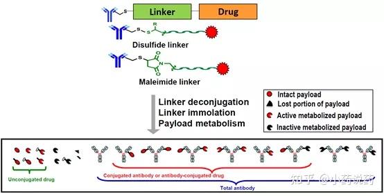 ADC连接子的集成设计 - 知乎