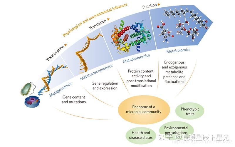 代谢组学数据分析及网络药理学结构案例分析推荐 - 知乎