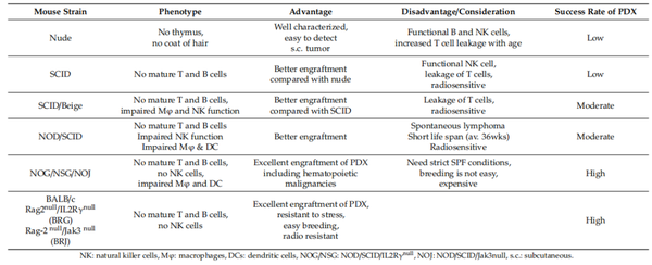 关于PDX模型的一些基础知识 - 知乎