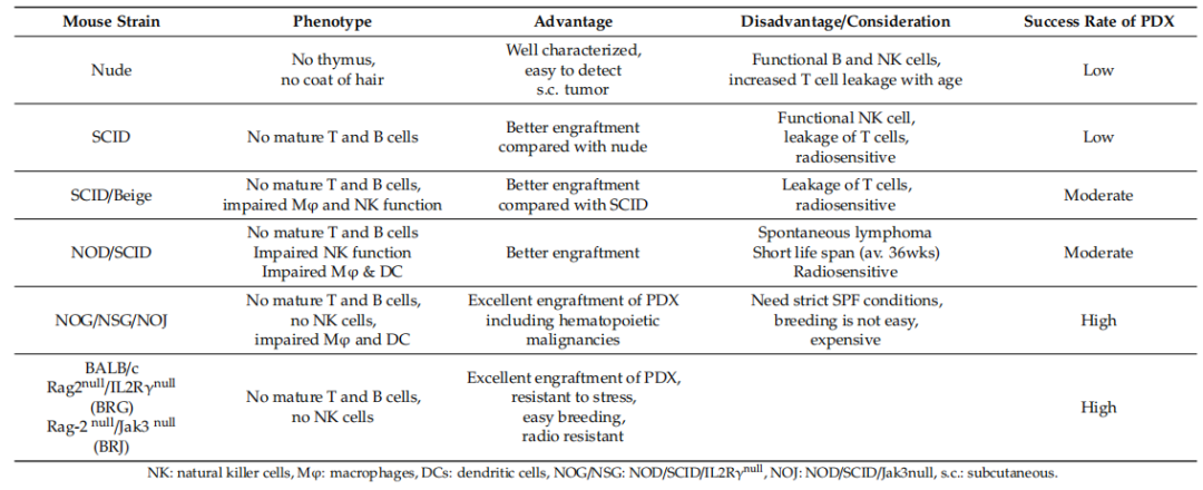 关于PDX模型的一些基础知识 - 知乎