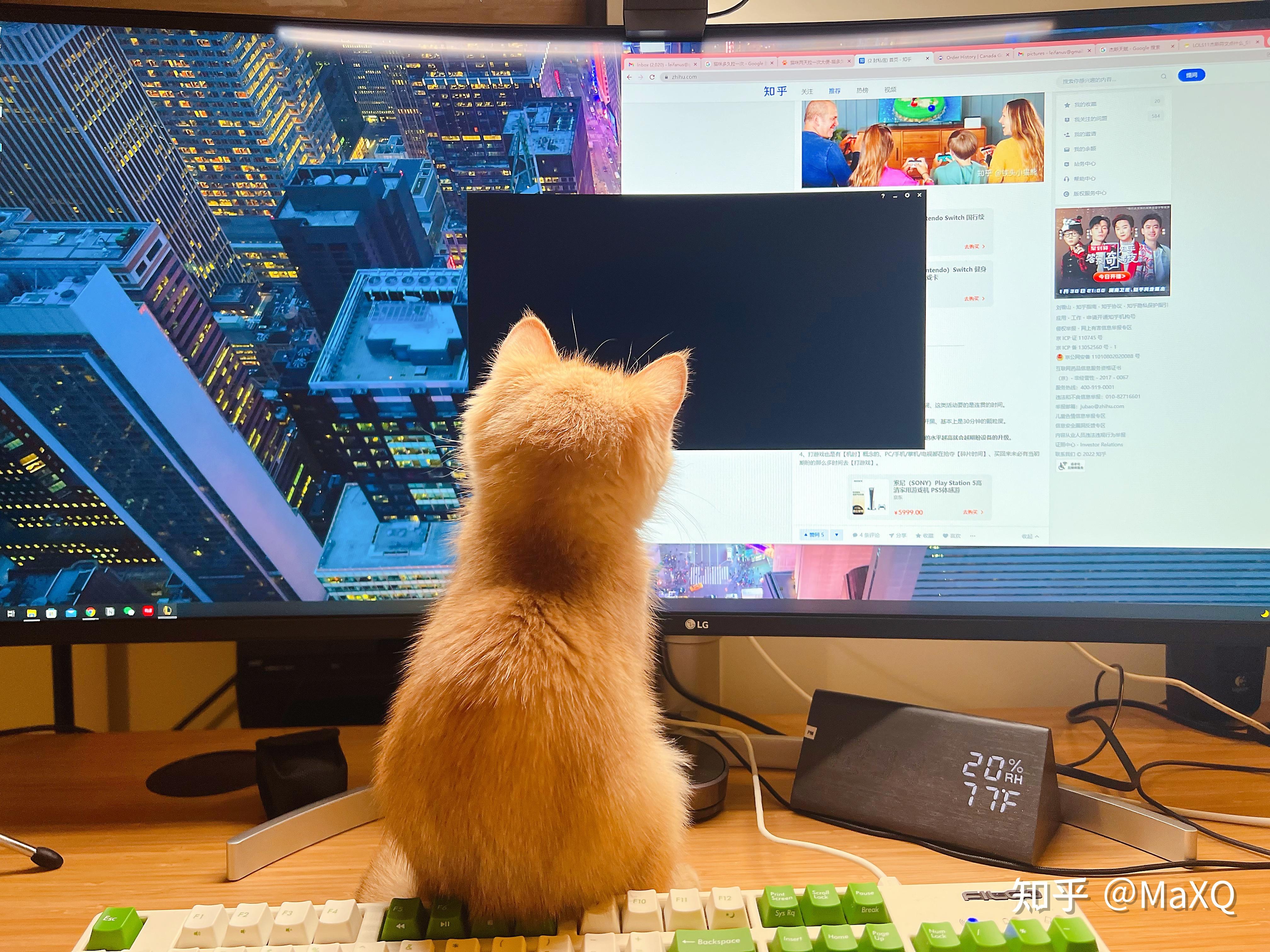 Desk Quant入行两个月的一些感想 - 知乎