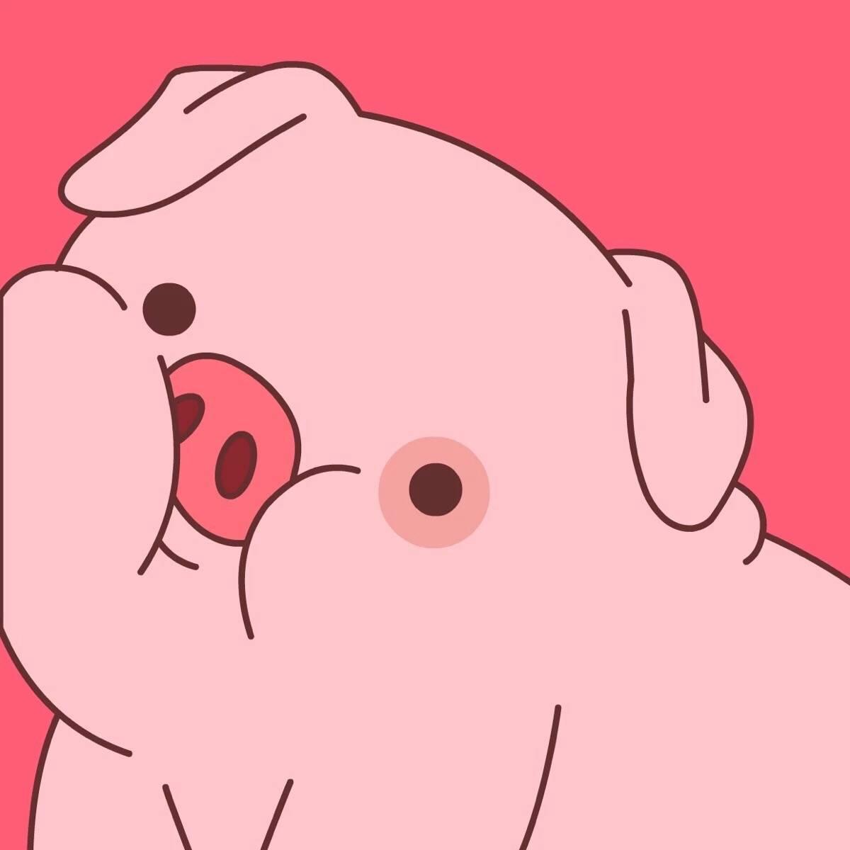有哪些猪的搞笑图片或者表情包? 知乎