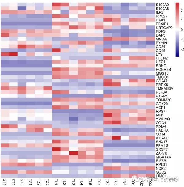 热图5：ggplot2画热图及个性化修饰 - 知乎