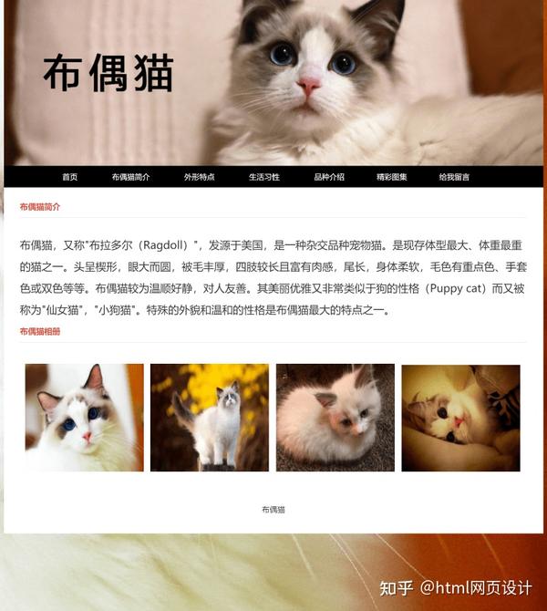 制作一个简单HTML宠物猫网页（HTML+CSS） - 知乎