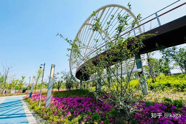 蟠龙天地完整探班解读 - 知乎