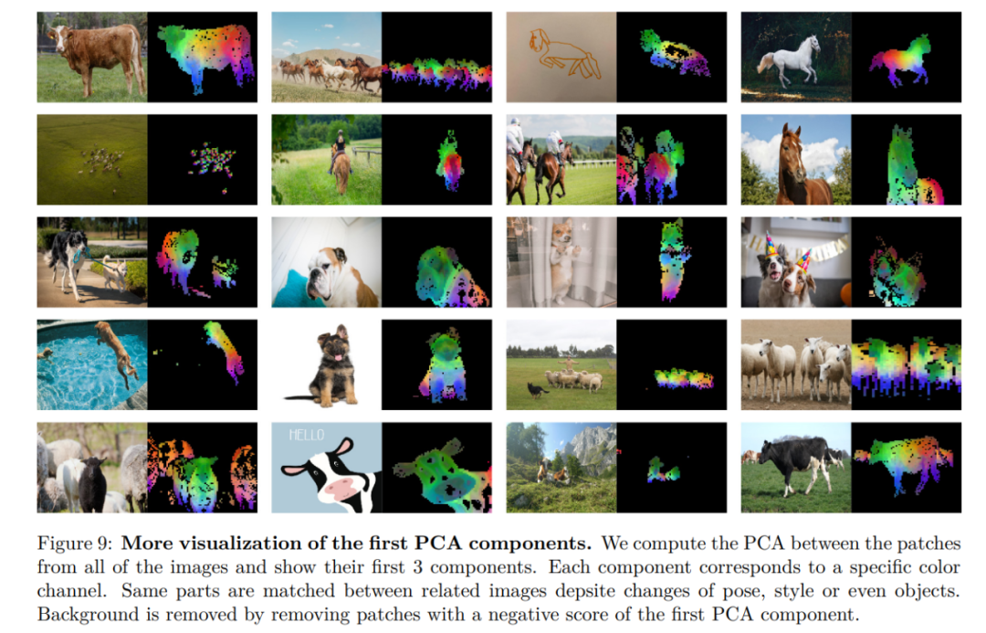 重磅！Meta开源DINOv2视觉大模型！无需微调，效果惊人！ - 知乎