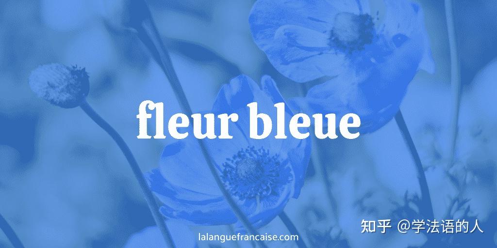 「fleur Bleue」就是小蓝花吗? 知乎