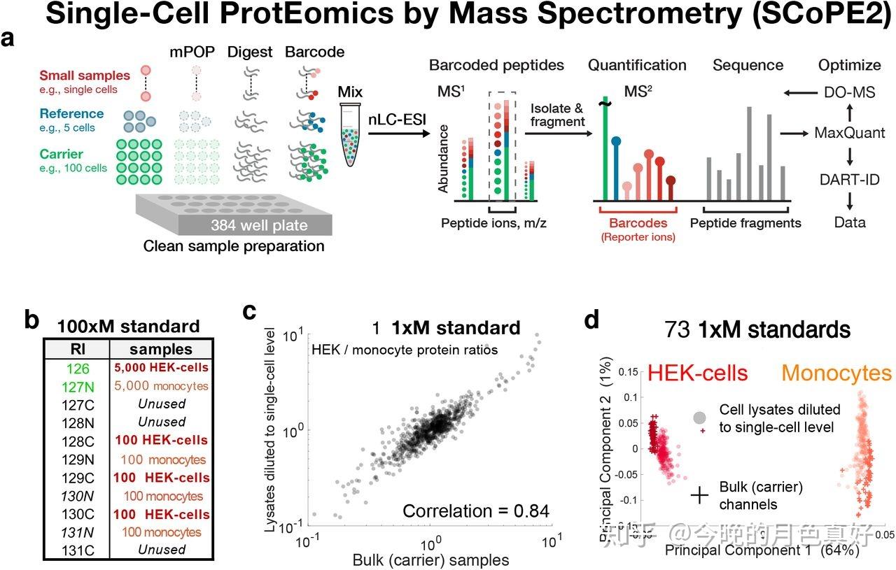 单细胞文章打卡71-SCoPE2-单细胞蛋白组 - 知乎