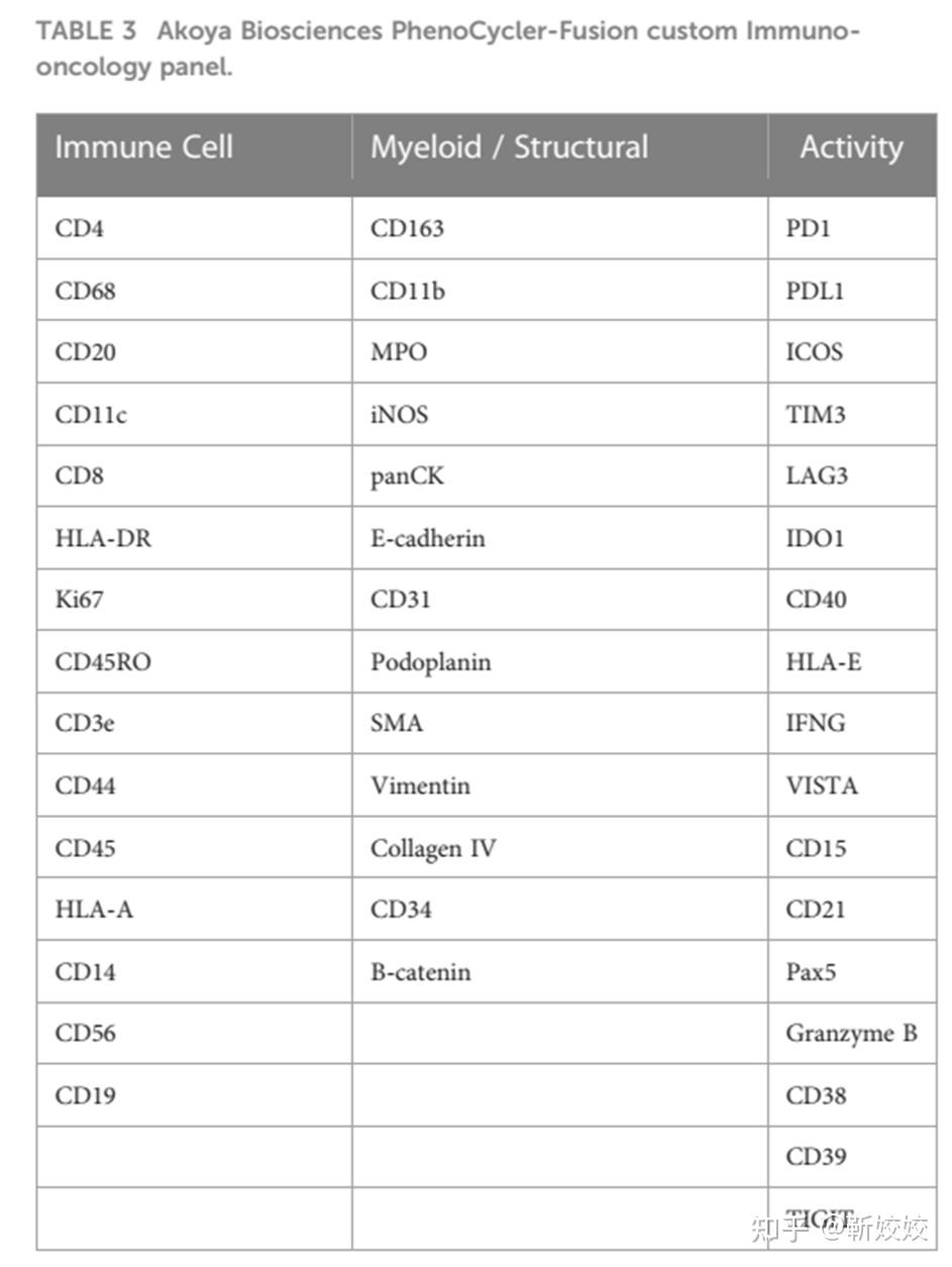 PhenoCycler-Fusion 45个超多蛋白靶标探索头颈鳞状细胞癌免疫治疗生物标记物 - 知乎