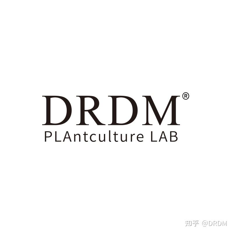 不忘初心，DRDM坚持祛痘领域11年 - 知乎