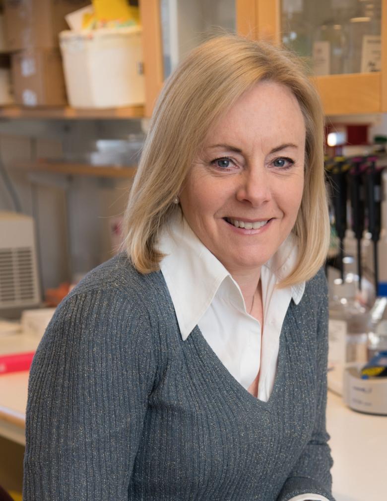 卡罗林斯卡医学院Gunilla Karlsson Hedestam教授当选瑞典皇家科学院院士 - 知乎