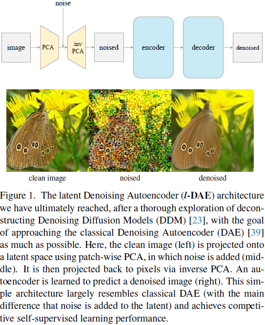 （2024，𝑙-DAE，去噪 DM，去噪 AE，影响 SSRL 性能的关键成分，PCA 潜在空间）解构自监督学习的去噪扩散模型 - 知乎