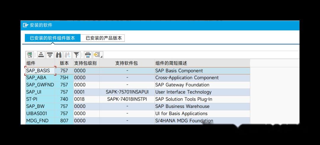 如何更详细查看SAP 系统版本信息 - 知乎