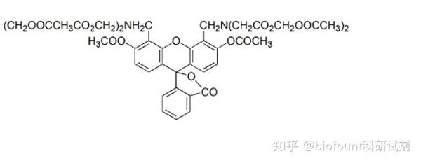 Calcein AM（染色原理、使用方法、光谱） - 知乎