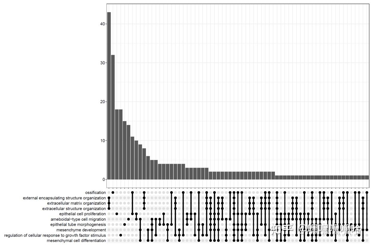 RNA-seq入门实战（六）：GO、KEGG富集分析与enrichplot超全可视化攻略 - 知乎