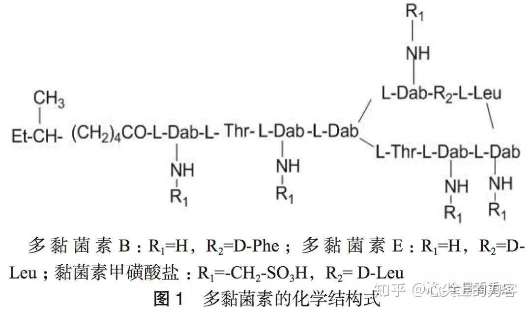 多粘菌素应用中国专家共识 - 知乎