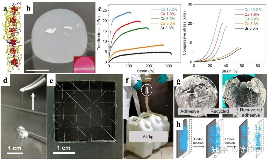 清华大学王训教授课题组最新Angew. Chem. Int. Ed.：多金属氧化物在单团簇水平上的精确组装 - 知乎