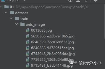 利用PIL读取图片及图片集~pytorch初学 - 知乎