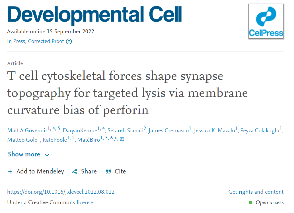Developmental Cell：T细胞利用武力摧毁癌细胞 - 知乎