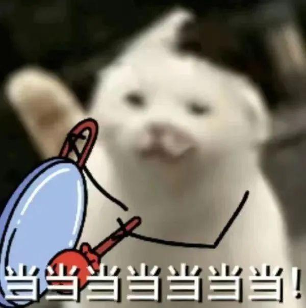 发疯发癫的表情包 - 知乎