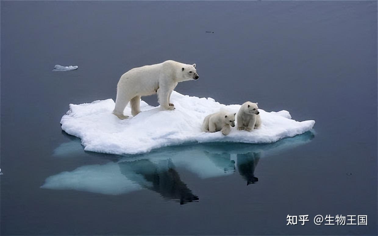 二氧化碳的威胁有多严重？科学揭示危险界限 - 知乎