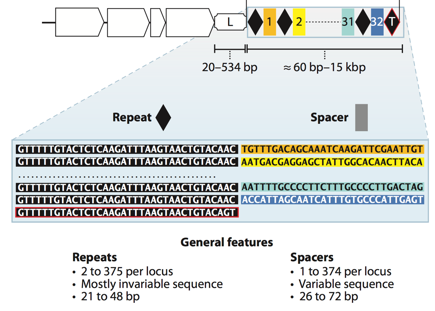 详解CRISPR/Cas系统与其应用 - 知乎