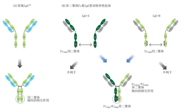 自研或引进，国内药企如何差异化布局双抗平台？ - 知乎