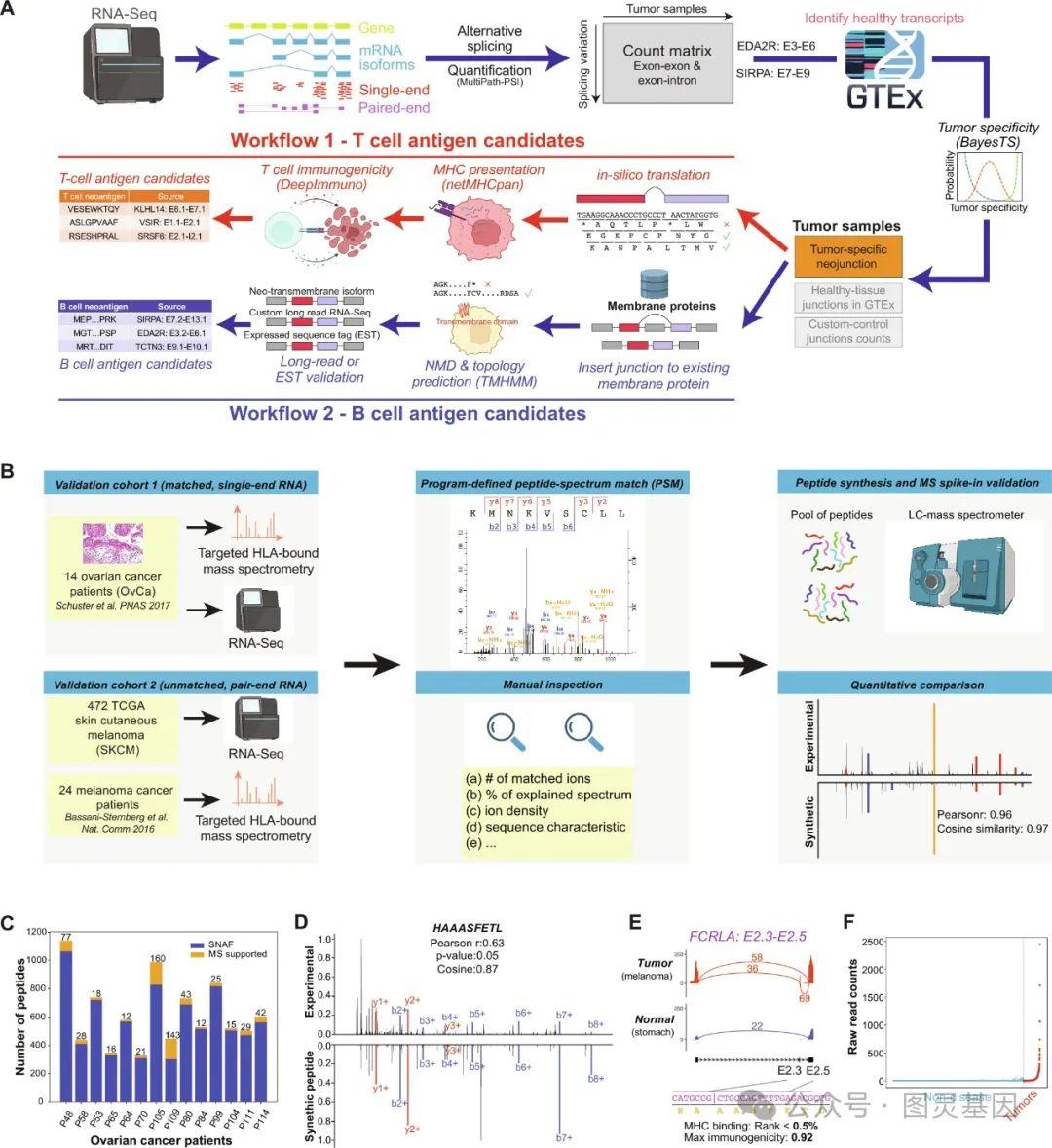 Sci Tra Med | SNAF识别用于免疫治疗的剪接新抗原靶点 - 知乎