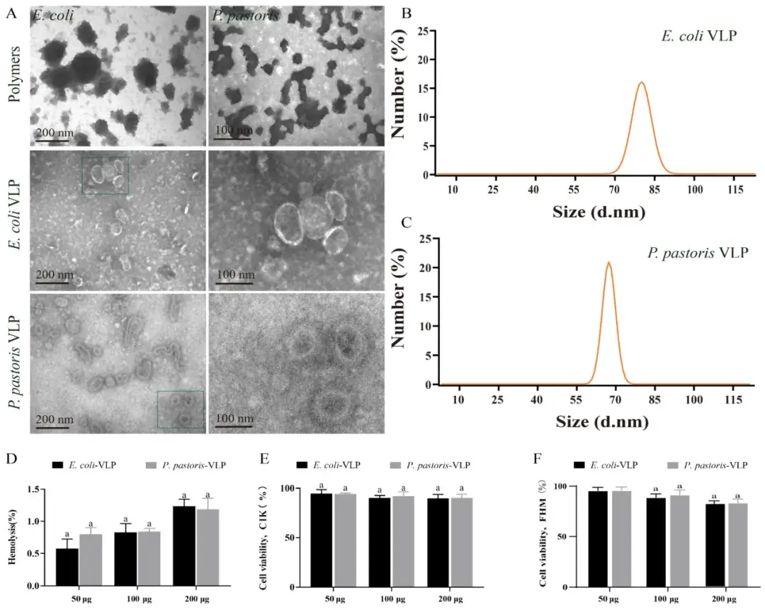 华中农业大学：病毒样颗粒有效保护草鱼免受GCRV-II感染 - 知乎