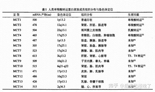 37 浅谈乳酸（下） - 知乎