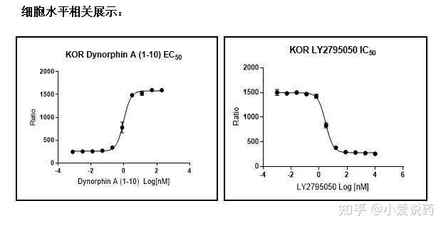 g蛋白耦联受体|阿片受体药物体外筛选模型|op-kappa-阿片受体 - 知乎