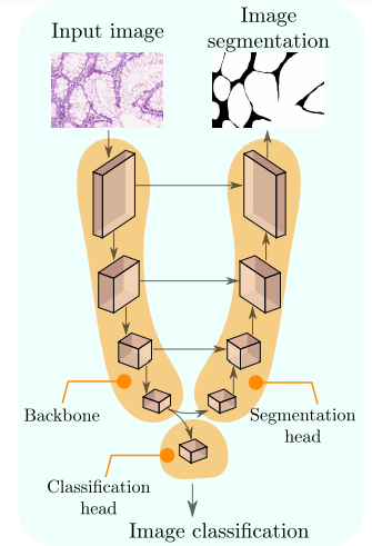 WACV 2021 论文大盘点-图像分类篇 - 知乎