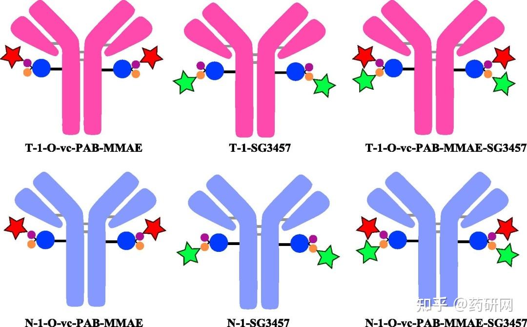 双载荷ADC的发展 - 知乎