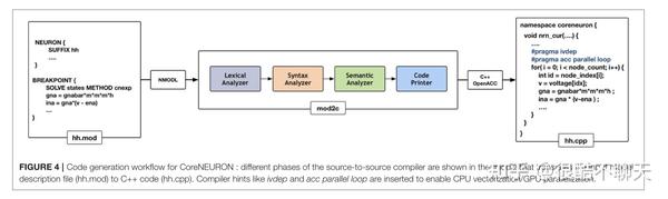 CoreNEURON：NEURON 模拟器的优化计算引擎 - 知乎