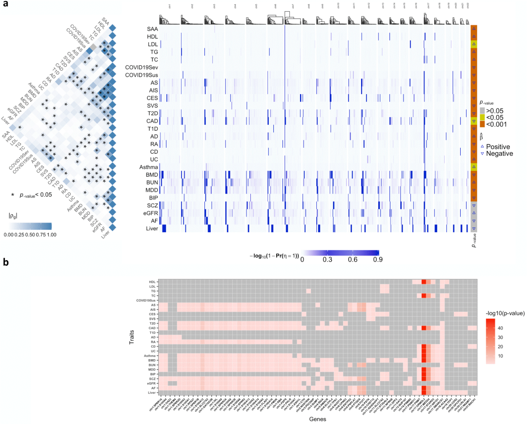 Nat Commun︱刘瑾/陈琳团队合作发布既能处理复杂相关水平多效性又能探究共同遗传病因的孟德尔随机化方法 - 知乎