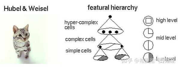 机器学习到底是什么呢？ - 知乎