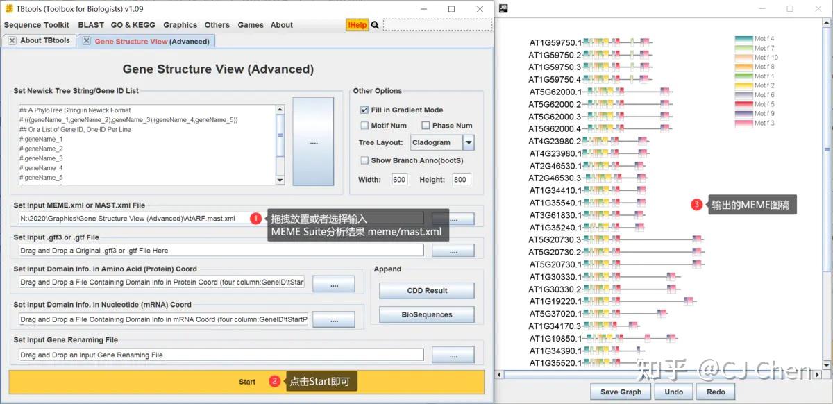 TBtools | 多图合一至强版教程！进化树 + Motifs + 结构域 + 启动子 + 基因结构 + .... - 知乎