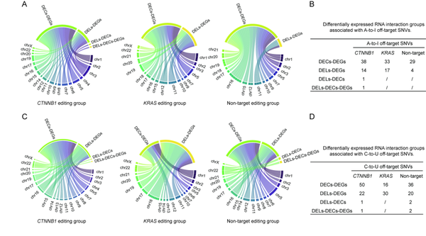 JMCB︱中国农大胡晓湘/浙大姚远课题组揭示RESCUE碱基编辑器的RNA脱靶效应 - 知乎