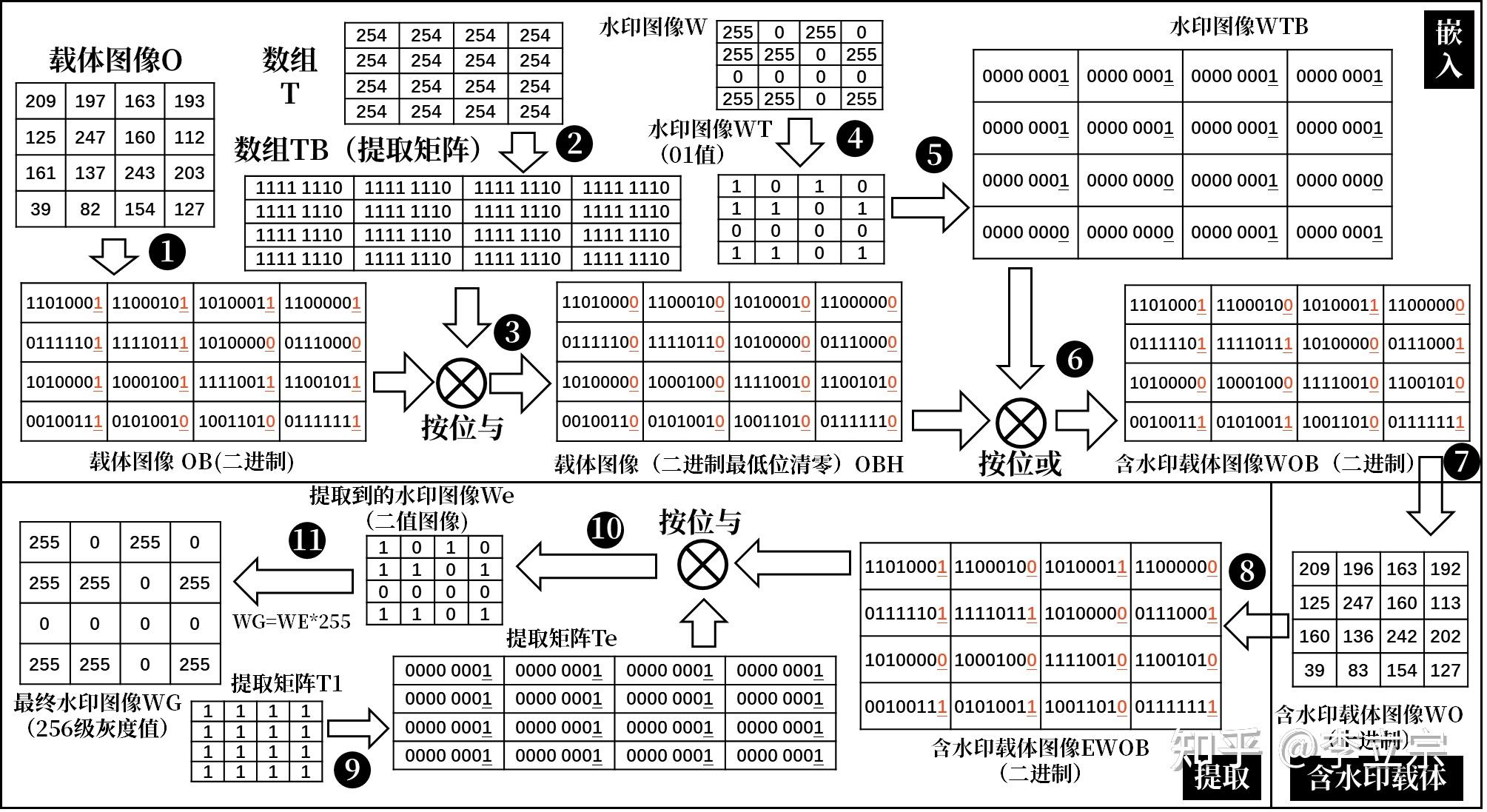 【计算机视觉40例】案例03:数字水印 知乎