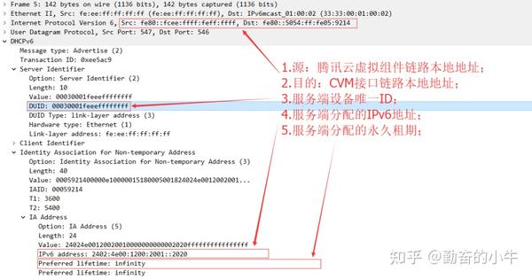 一文读懂DHCP协议 && DHCPv6协议 - 知乎