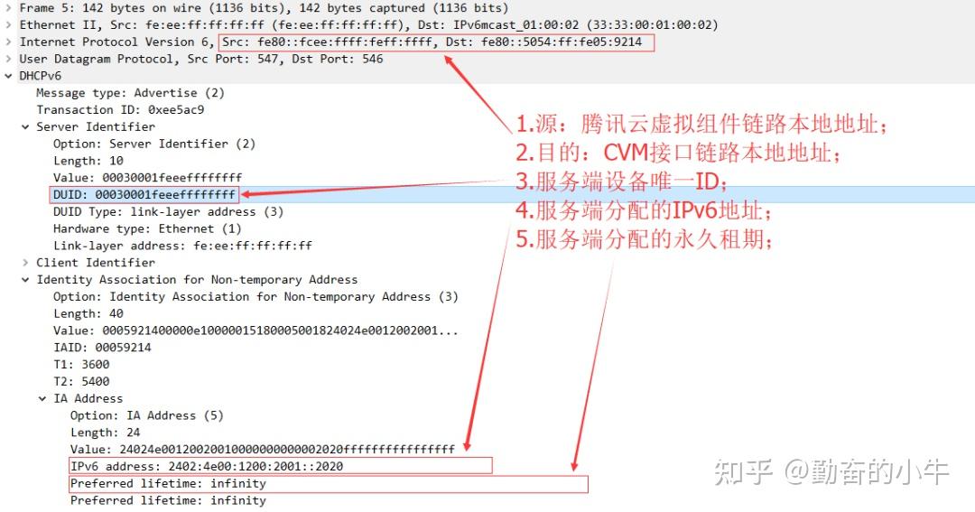 一文读懂DHCP协议 && DHCPv6协议 - 知乎