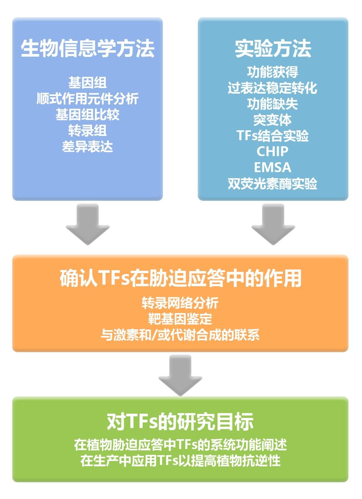 转录因子研究套路（一） - 知乎