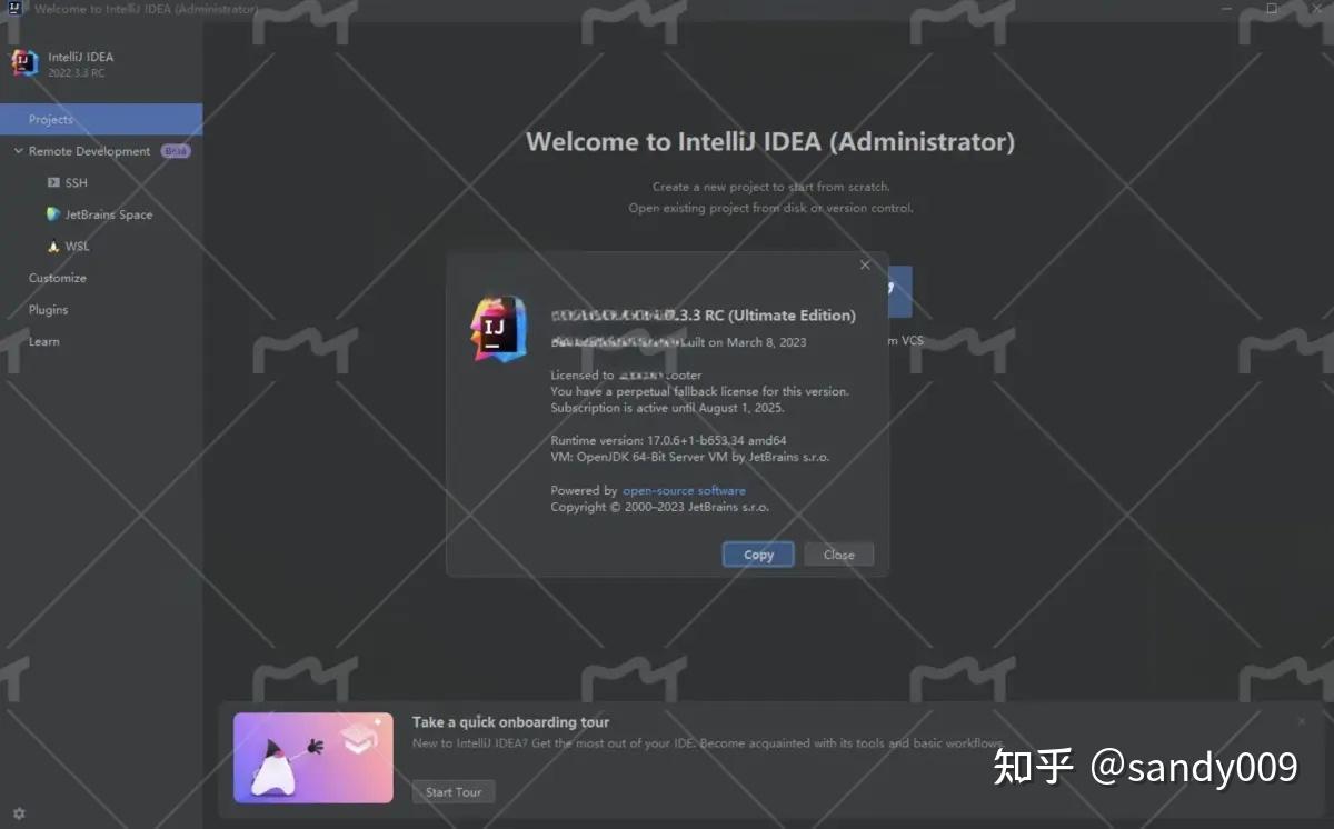 IntelliJ IDEA 2022.3.2 专业版安装 - 知乎