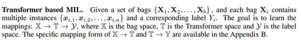 TransMIL: 基于 Correlated Multiple Instance Learning Transformer 用于 WSI Classification - 知乎