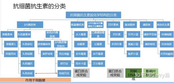 温故而知新，学习了解抗生素分类 知乎 