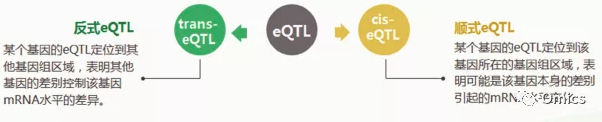 GWAS和eQTL共定位分析 - 知乎