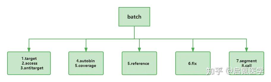 使用CNVkit进行CNV分析（二）— CNV拷贝数检测（Copy number calling pipeline） - 知乎