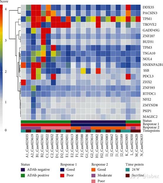 蛋白质芯片Sengenics技术介绍 - 知乎