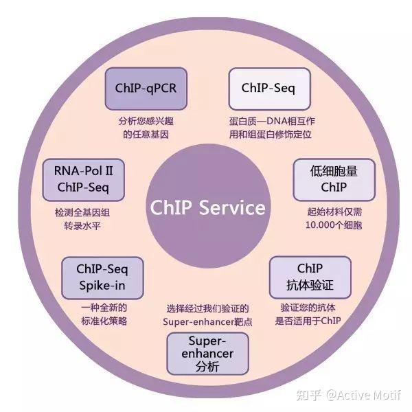 如何做好ChIP实验？这些细节你注意了吗？ - 知乎