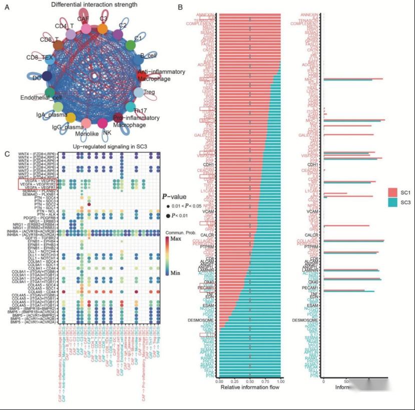 单细胞数据挖掘+基因拷贝数分析！助你轻松识别肿瘤细胞类型拿捏Q1区！ - 知乎